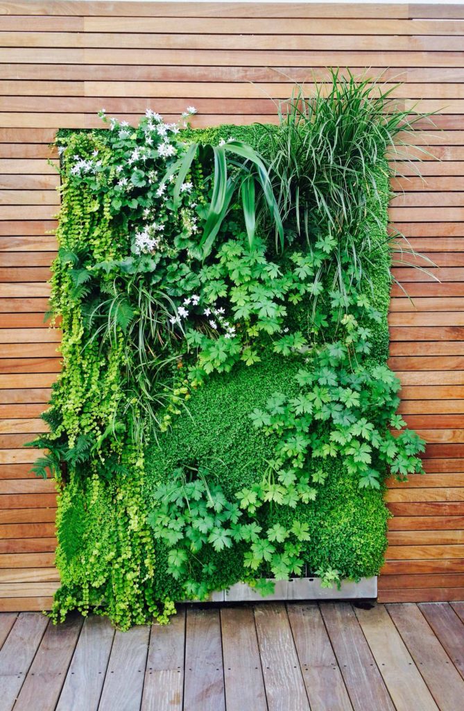 200+ Vertical garden ideas 2023: Best Design for Your Backyard